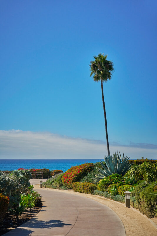Things to Do in Laguna Beach | Montage Laguna Beach