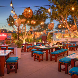 Los Cabos Resort Signature Gallery | Montage Los Cabos