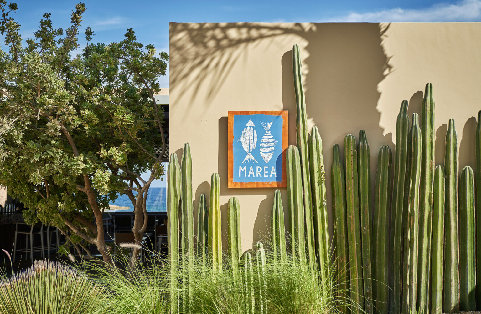 Marea by Day | Beachfront Restaurant | Montage Los Cabos